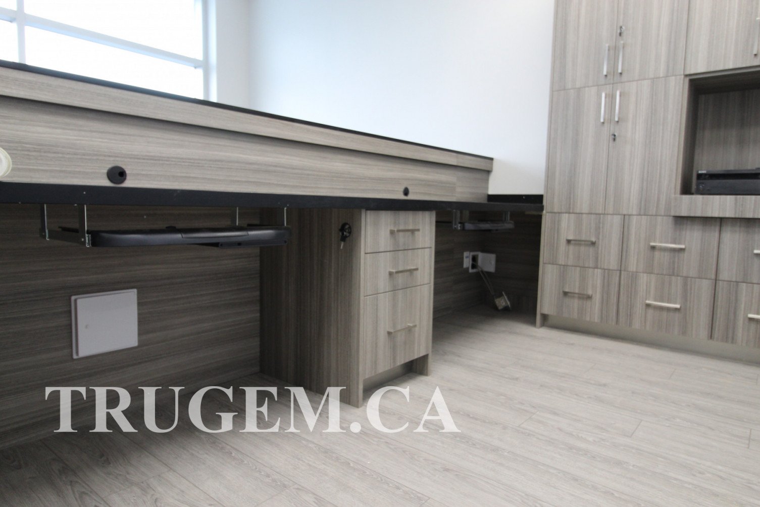 Reception Desk Unique Designs - TruGem Home Improvements - Trugem